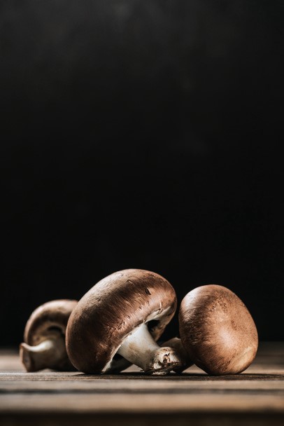 Mushroom Palace
